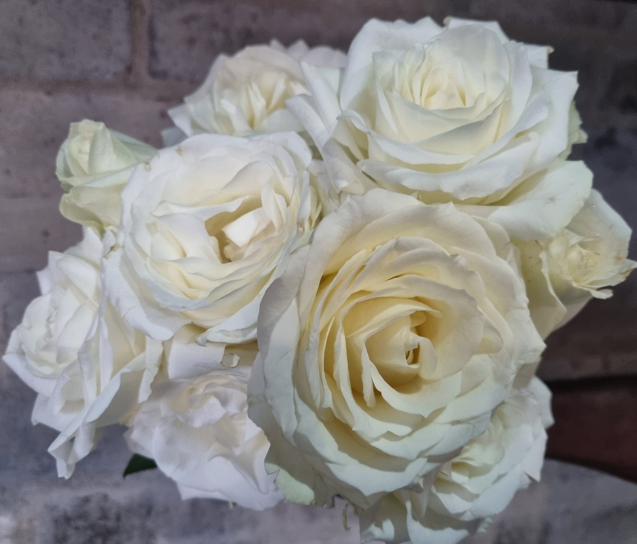 White Rose Bouquet – KleineMarieFlorist